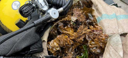 Home » Chatham Islands Council